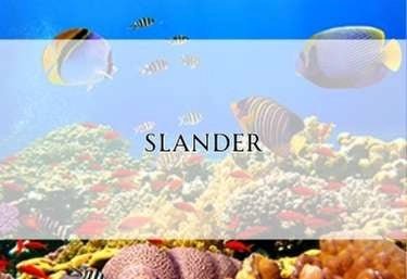 SLANDER – Okawabooks